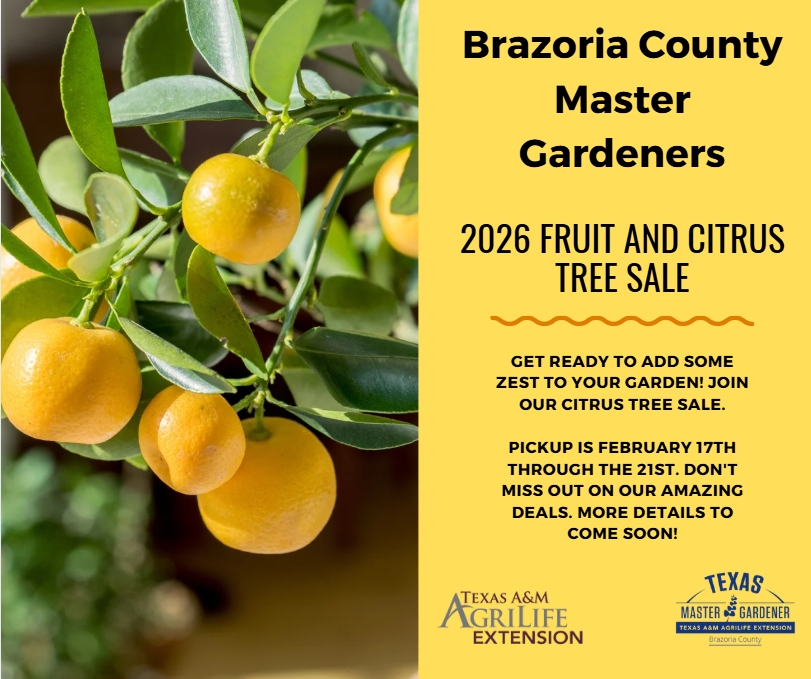 Brazoria County – 2026 Fruit and Citrus Tree Sale - Texas Master Gardener Program