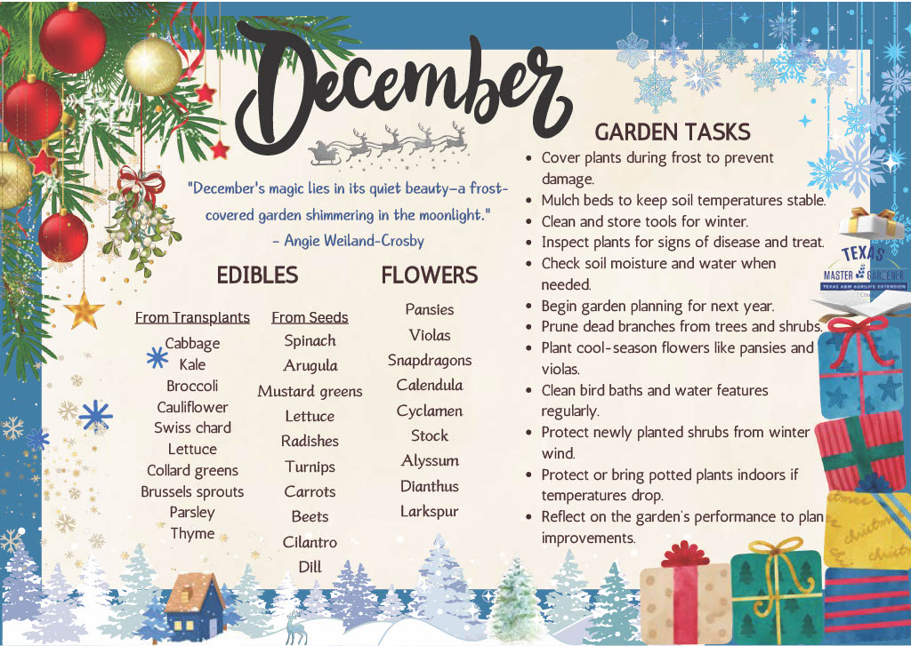 December Garden Checklist - Bell County Master Gardener