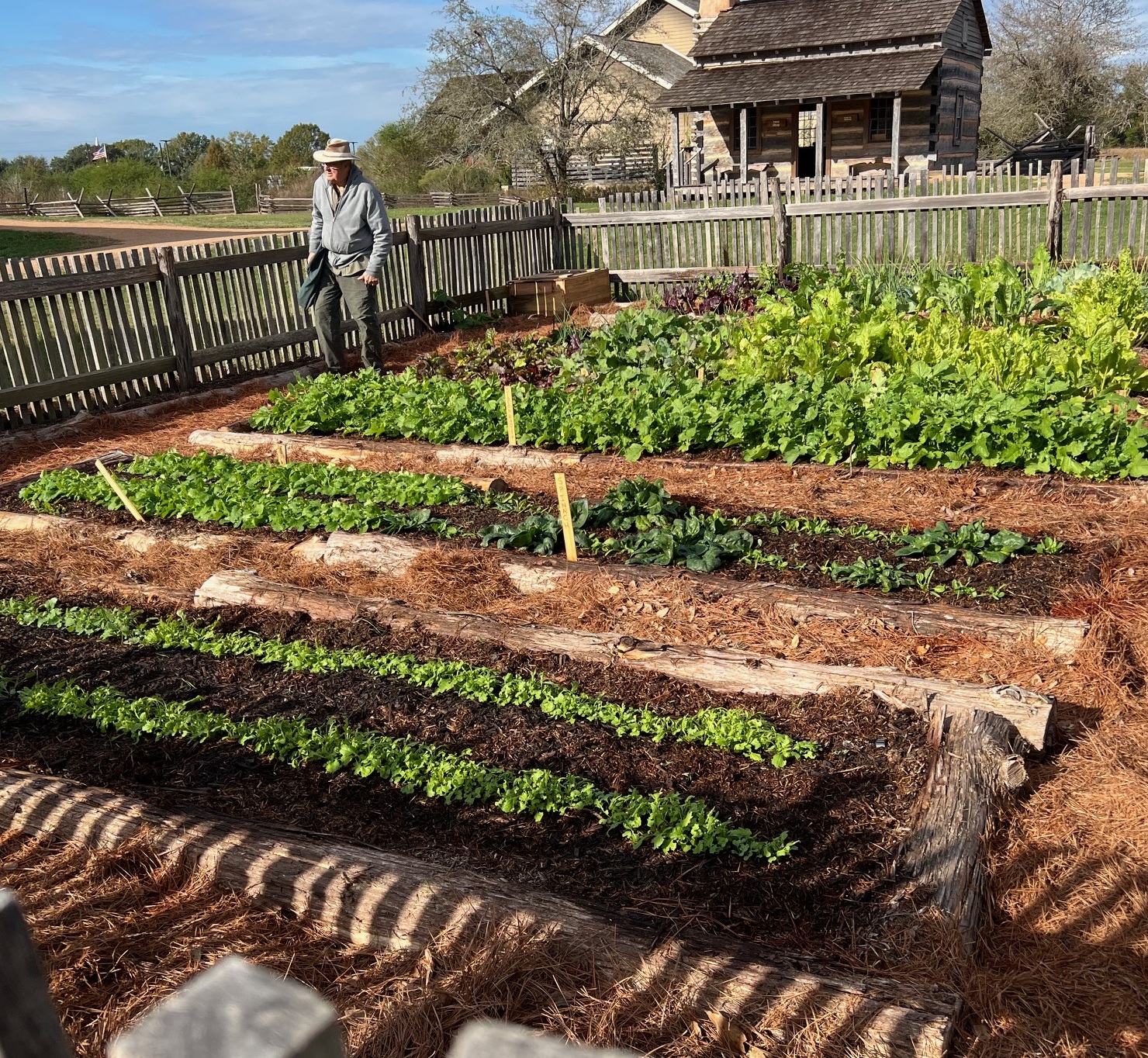 Home Page - Bluebonnet Master Gardener Association