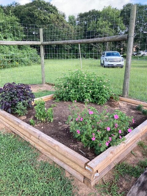 Pete & Paula's Pollinator Patch - Bluebonnet Master Gardener Association