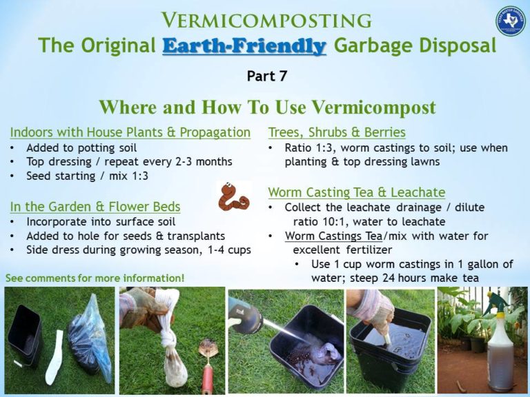 What Is Vermicomposting and How Is It Done - A Vermicomposting Poster ...