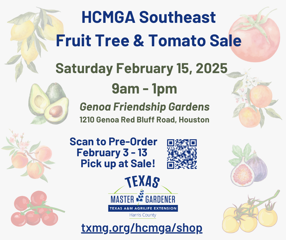 Harris County Master Gardeners Southeast Fruit Tree & Tomato Sale ...