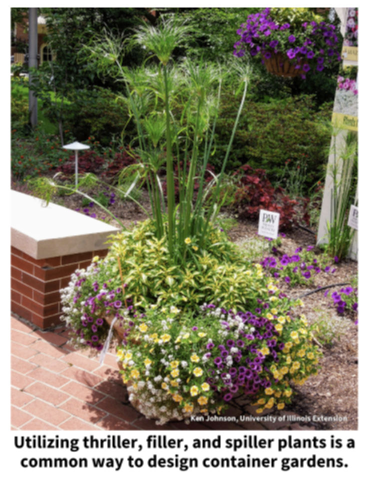 Container Growing Tips - Rockwall County Master Gardeners